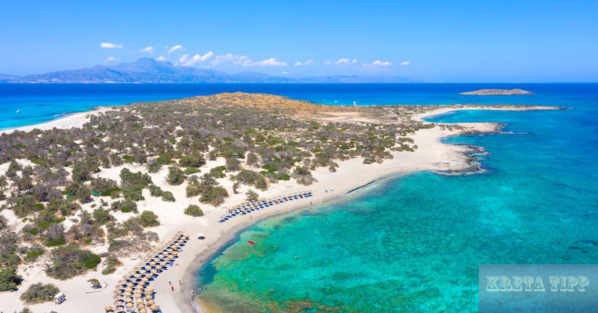 Insel Chrysi - Leitlinien für Besucher - Kreta Tipp